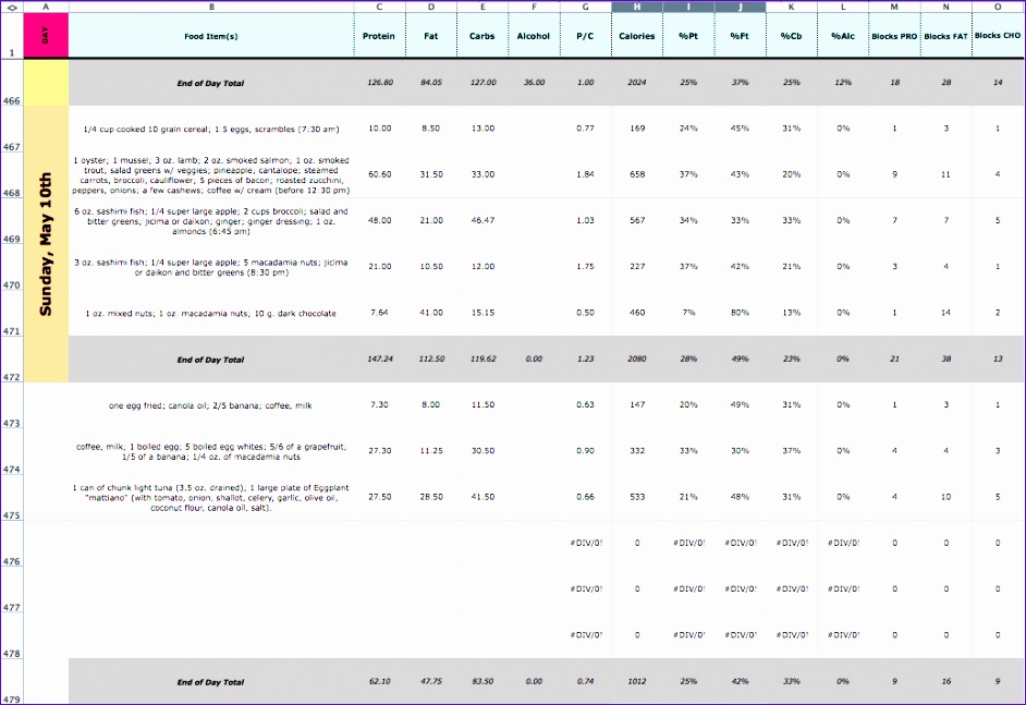 9 Food Journal Excel Template Excel Templates 9 Food Journal Excel Template Excel Templates